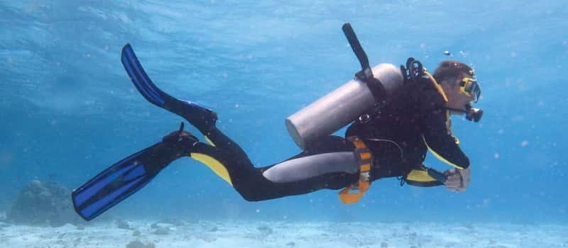 Los Cabos: 3-Hour Introductory Scuba Diving Adventure - FAQ