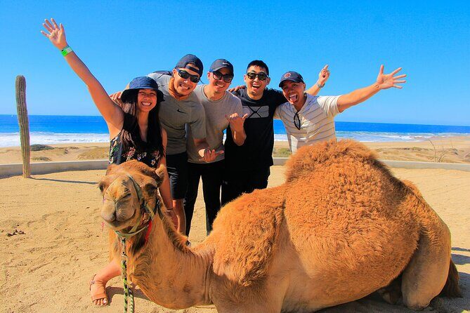 Los Cabos 3 in 1 Adventure: Camel Ride, Lunch and Arch Boat Tour - What’s Included and What’s Not