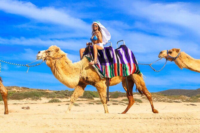 Los Cabos 3 in 1 Adventure: Camel Ride, Lunch and Arch Boat Tour - The Sum Up