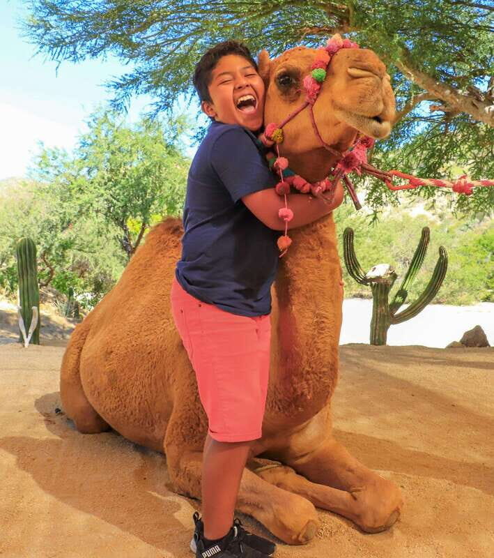 Los Cabos: Adventure Pass at Wild Canyon - The Experience – The details that matter