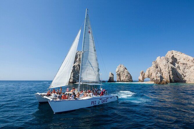 Los Cabos All Included Whale Watching Experience - The Itinerary in Detail