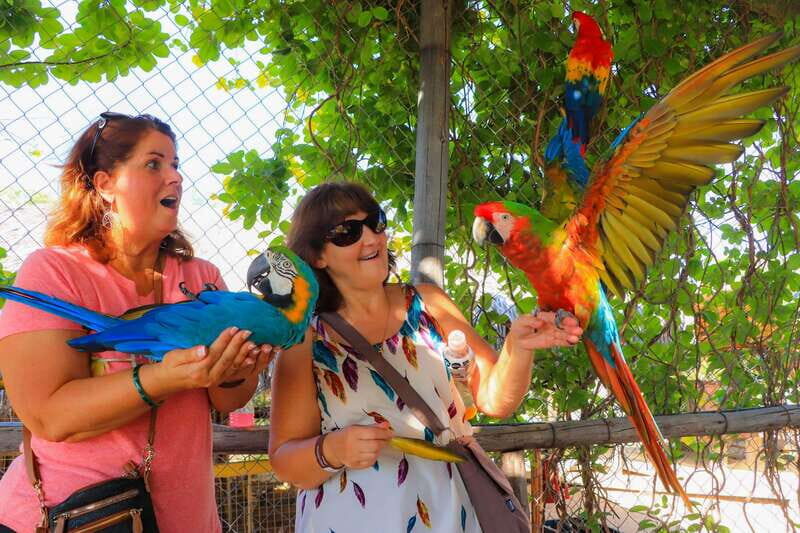 Los Cabos: Animal Encounter & Aqua Park Adventure - Exploring the Los Cabos: Animal Encounter & Aqua Park Adventure