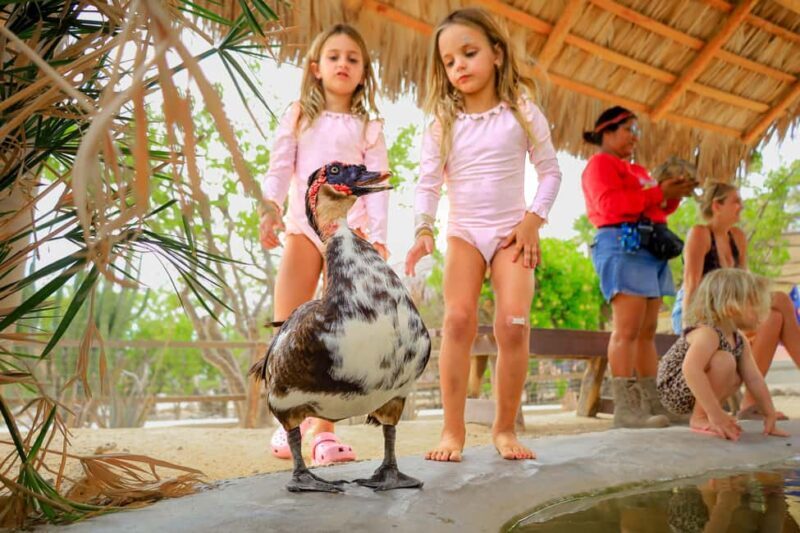 Los Cabos: Animal Encounter & Aqua Park Adventure - Who Will Love This Tour?