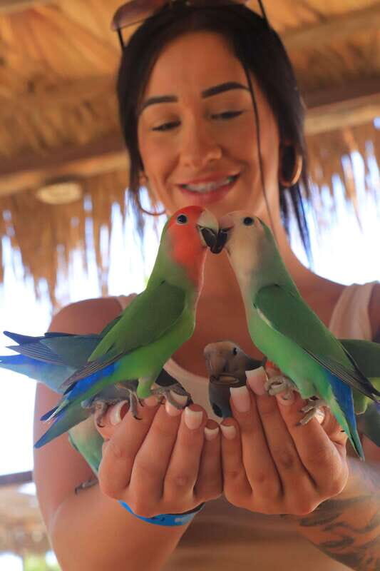 Los Cabos: Animal Encounter & Aqua Park Adventure - Final Thoughts
