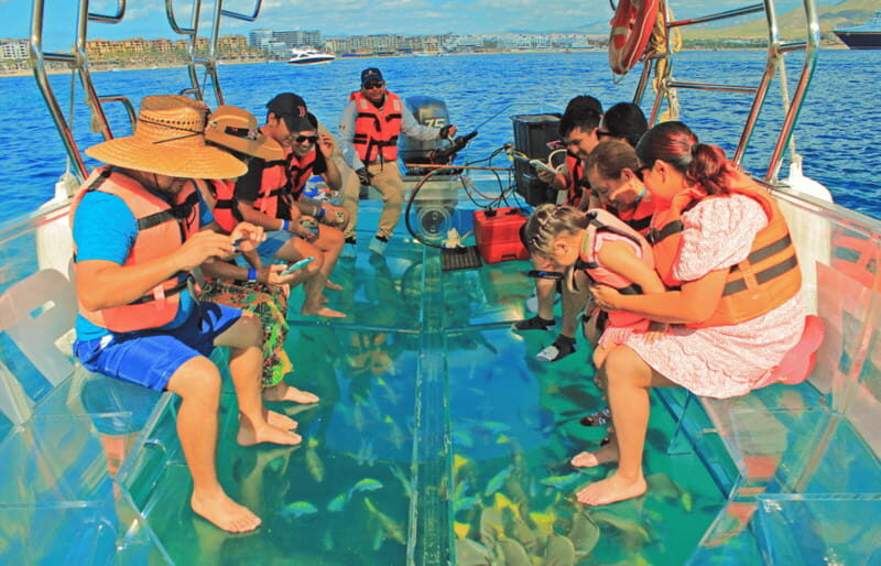 Los Cabos Arch & PelicanRock Cabo San Lucas CrystalBoat Tour - Pricing and Value Consideration