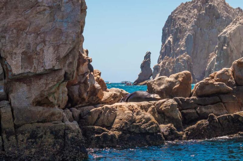 los cabos arch tour & drinks +snorkel tour - Experience Overview: What You Can Expect