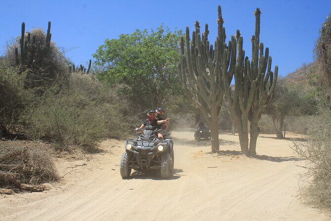 Los Cabos Beach & Desert Tour in Automatic ATV + Tequila Tasting - Who Should Book This Tour?