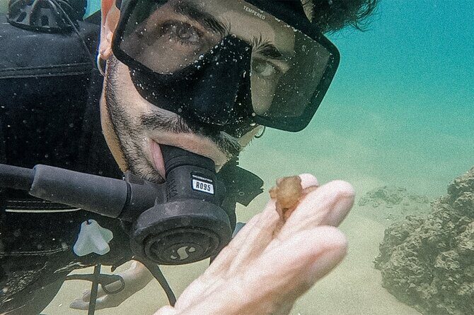 Los Cabos Beginner Scuba Dive Experience - The Experience From the Reviews