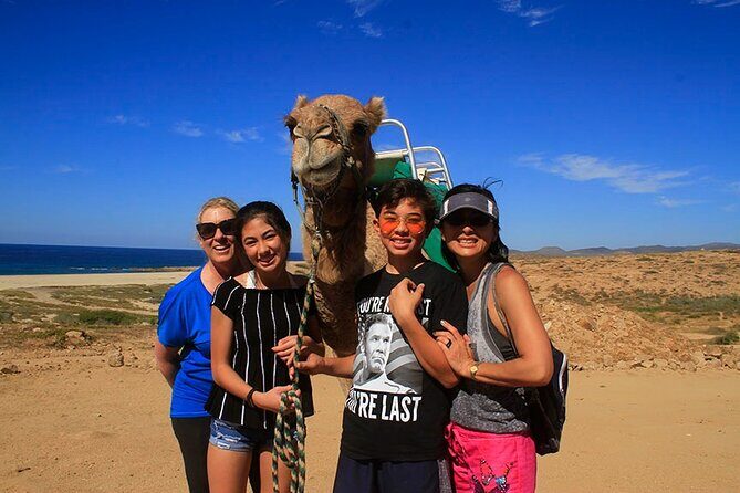 Los Cabos Camel Ride Adventure On The Beach - The Sum Up: Is It Worth It?