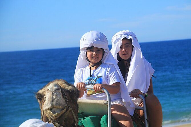 Los Cabos Camel Ride Adventure On The Beach - FAQ