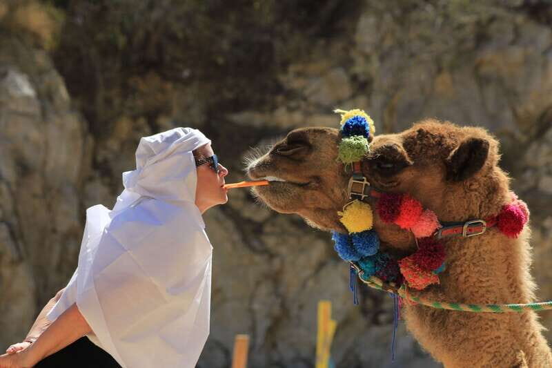 Los Cabos: Camel Ride in the Canyon & Thrilling Water-Slides - Animal Sanctuary and Interactive Encounters