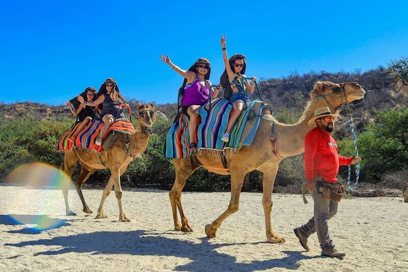 Los Cabos: Camel Ride in the Canyon & Thrilling Water-Slides - Authentic and Honest Feedback from Past Travelers