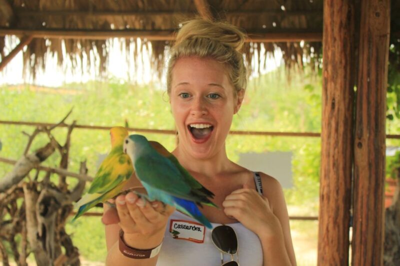 Los Cabos: Camel Ride in the Canyon & Thrilling Water-Slides - Who Should Consider This Tour?