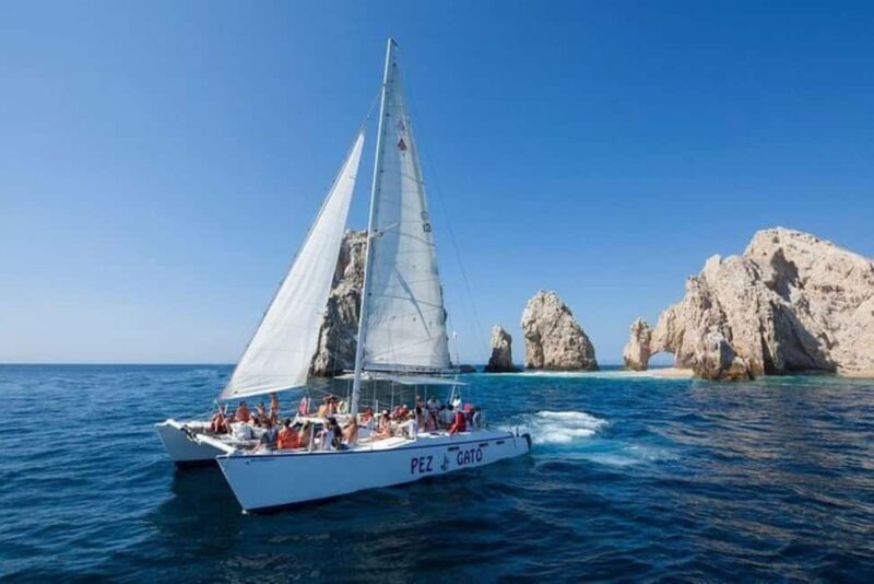 Los Cabos: Catamaran Whale Watching Cruise - Los Cabos: Catamaran Whale Watching Cruise — An Authentic Marine Adventure