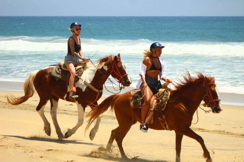 Los Cabos: Combo: Razor, Horseback or atv with transfer - What’s Included and What to Consider
