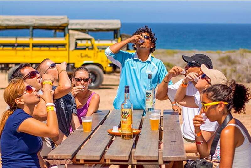 Los Cabos: Desert & Sea Camel Safari Tour with Lunch - The Sum Up