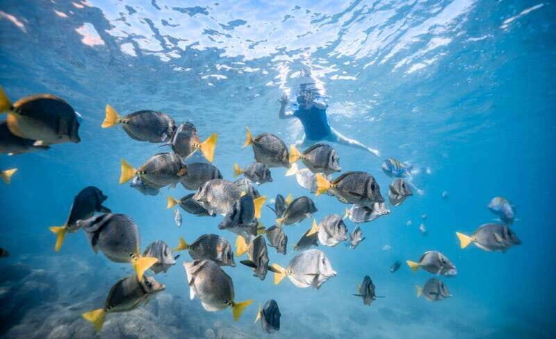 Los Cabos: Glass Bottom Kayak and Snorkel Tour at the Arch - The Kayaking and Snorkeling Experience