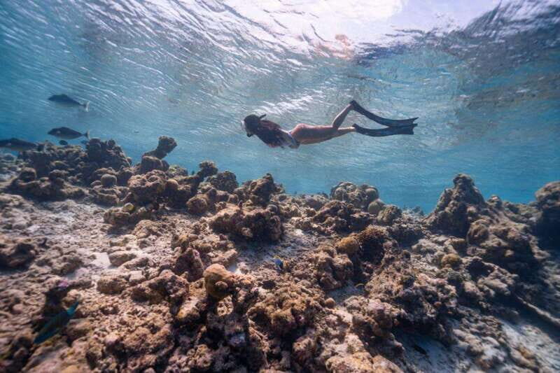 Los Cabos: Glass-Bottom Kayak and Snorkel Tour at Two Bays - Logistics and Practical Tips