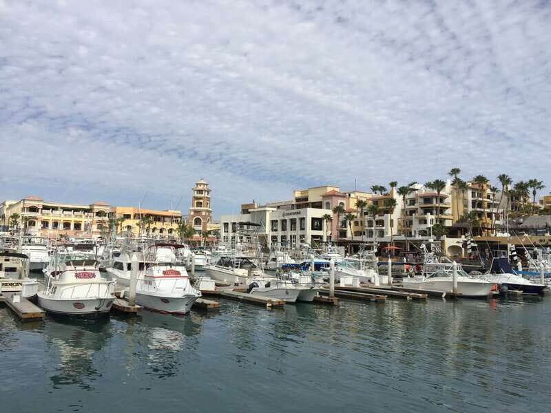 Los Cabos: Half-Day San Lucas and San Jose Tour - FAQ