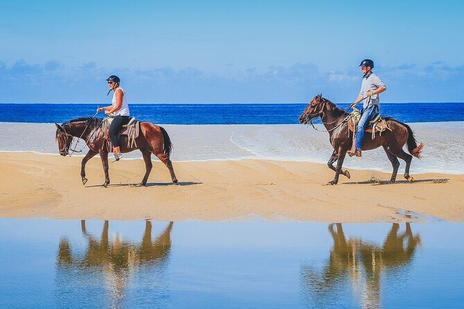 Los Cabos Horseback Riding - The Group Experience and Pace
