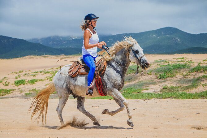 Los Cabos Horseback Riding - Pricing and Value