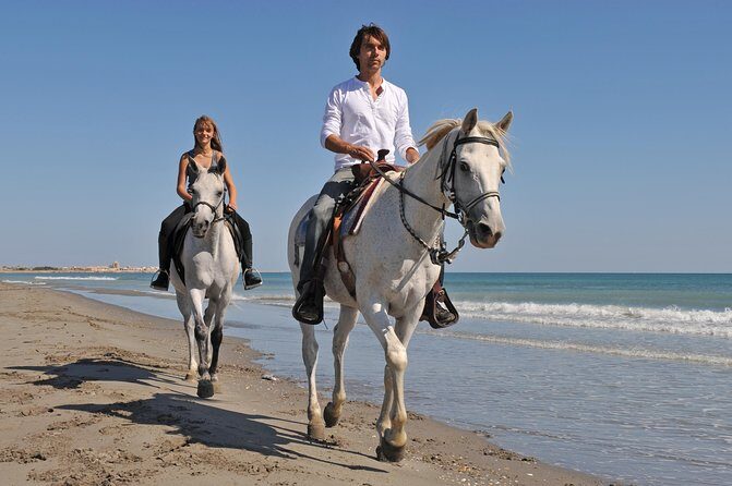 Los Cabos Horseback Riding - The Horses and Facilities