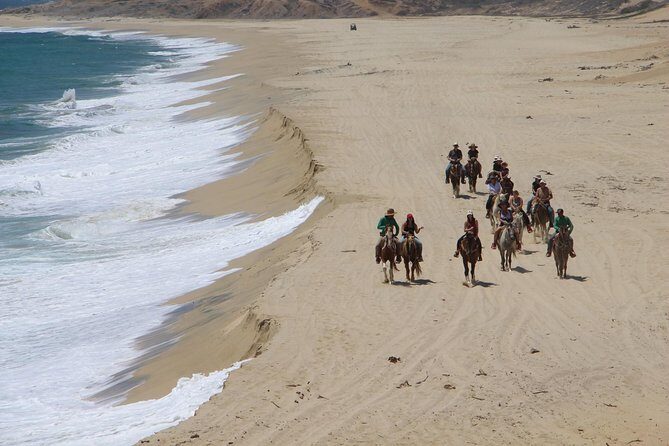 Los Cabos Horseback Riding - The Experience for Kids and Families