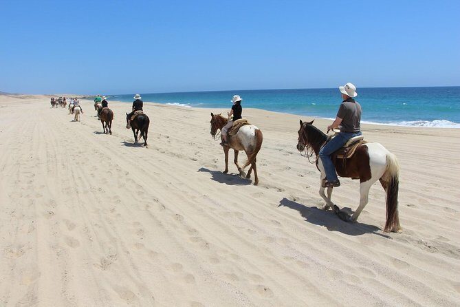 Los Cabos Horseback Riding - Final Thoughts on Value and Suitability