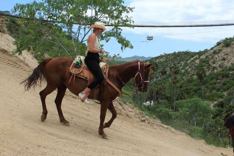 Los Cabos: Horseback Riding in Canyon a Mexican Experience - An In-Depth Look at the Experience