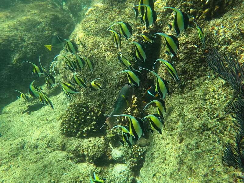 Los Cabos: Kayak to The Arch & Snorkel + Transport & Photos - Final Summary