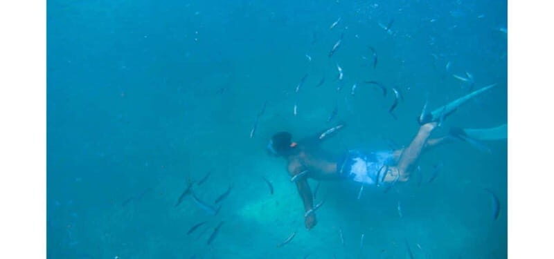 Los Cabos: Land's End Kayak and Snorkel Tour - Who Would Love This Experience?