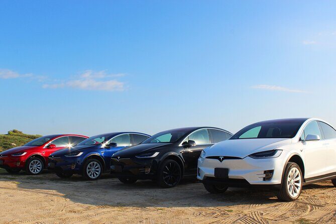 Los Cabos Luxury Private Tesla Transfer from Airport to Puerto Los Cabos Area - The Sum Up