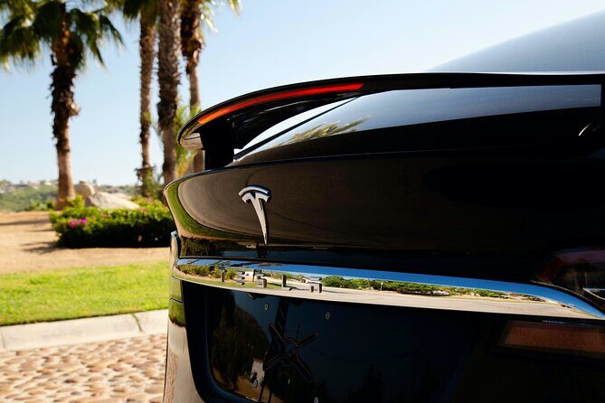 Los Cabos Luxury Private Tesla Transfer from Airport to Tourist Corridor Area - Who Should Consider This Service?