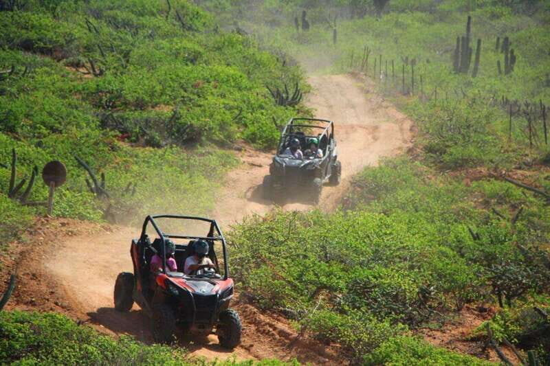 Los Cabos: Luxury UTV Viper Trail - Key Points