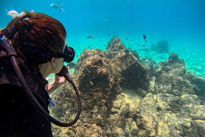 Los Cabos Open Water Diver Course - What the Experience Offers