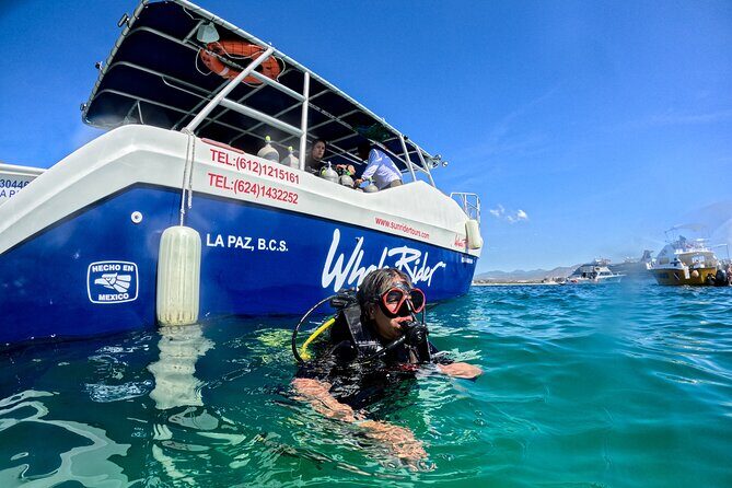 Los Cabos Open Water Diver Course - Is This Experience Worth It?