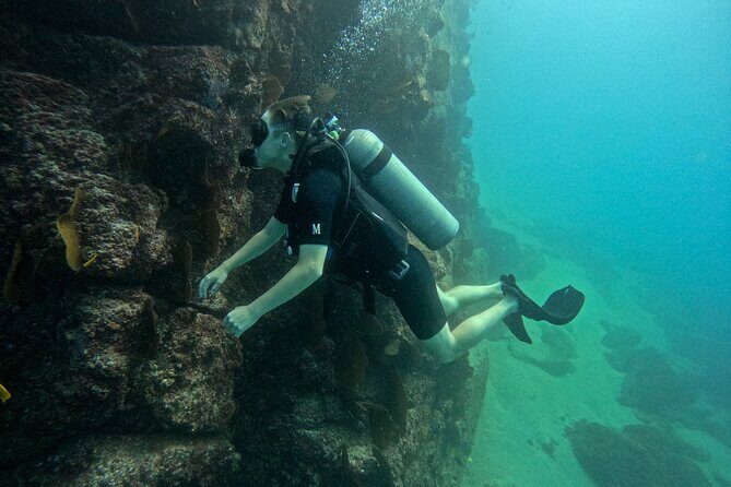 Los Cabos Open Water Diver Course - The Sum Up