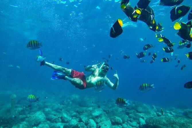 Los Cabos Platinum Snorkel Experience - Frequently Asked Questions