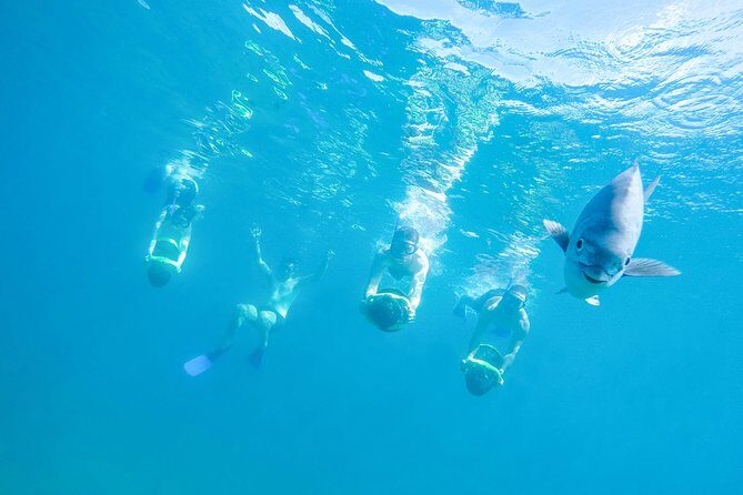 Los Cabos Power snorkel Adventure, Kayaking and Stand-Up Paddle - Key Points