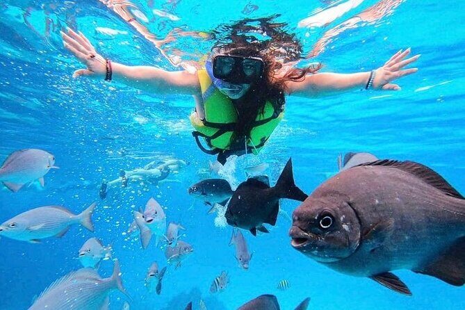 Los Cabos Private Beach Hopping - FAQ