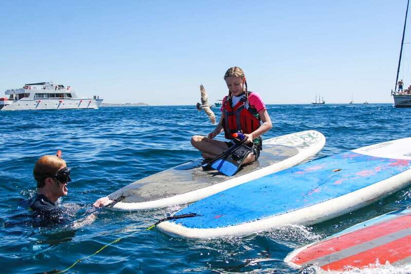 Los Cabos: Private Paddleboarding and Snorkeling Tour - Final Thoughts: Is It Worth It?