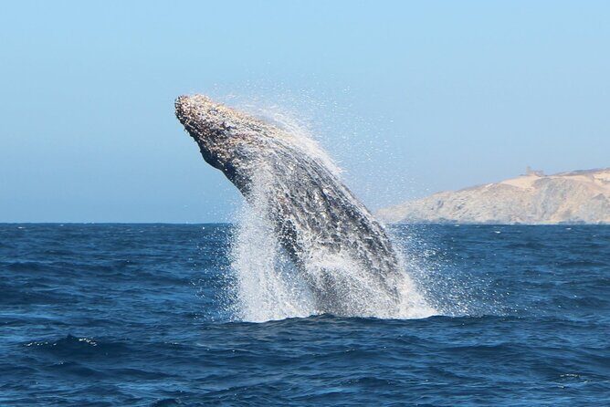Los Cabos Sightseeing and Cultural Day Trip with Boat Ride - Who Will Appreciate This Tour?