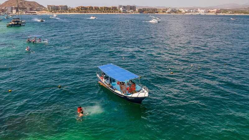 Los Cabos: Snorkel and Marine Life - Pricing and Value Assessment