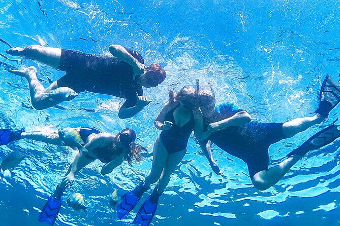 Los Cabos Snorkeling Tour by Speed Boat with Photos Included - Practical Considerations