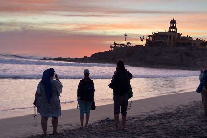 Los Cabos to Balandra Tour - Final Thoughts: Is It Worth It?