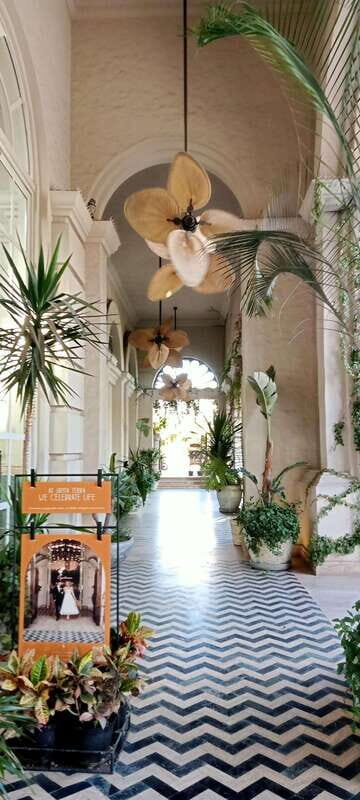 Los Cabos: Todos Santos Pueblo Magico Tour - Key Points