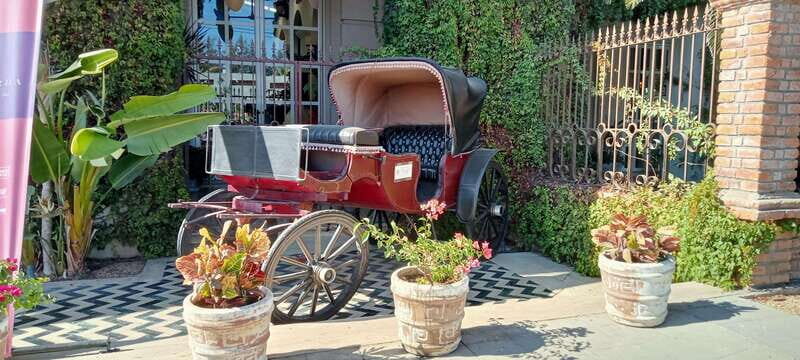 Los Cabos: Todos Santos Pueblo Magico Tour - FAQ