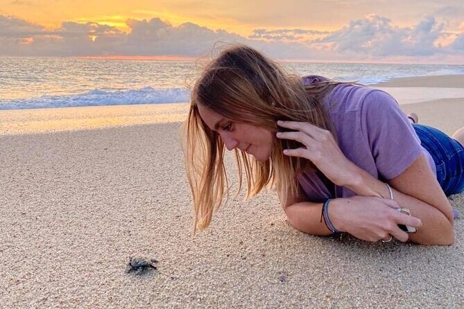 Los Cabos turtle release conservation program - Final Thoughts