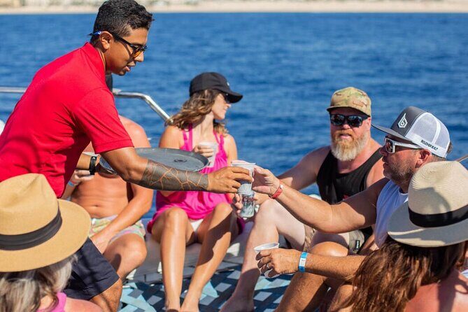 Los Cabos Ultimate Snorkeling Adventure - Final Thoughts