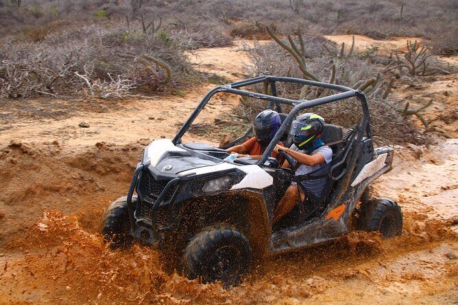 Los Cabos UTV Outdoor Experience to the Hidden Arch - Key Points